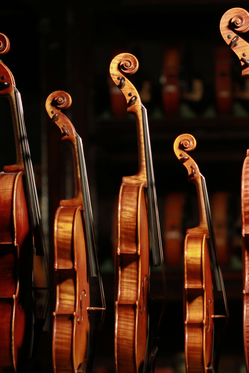 Student Instruments – Georg Eittinger – Luthier